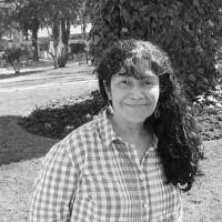 Académicos – Estudios Generales UDP